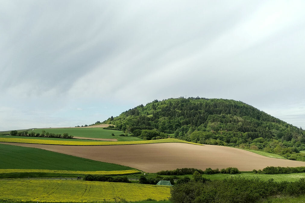 Tras - Ecohout